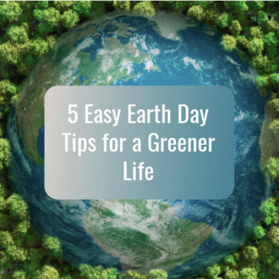 Friday Five: Easy Earth Day Tips for a Greener Life • Erica Finds...